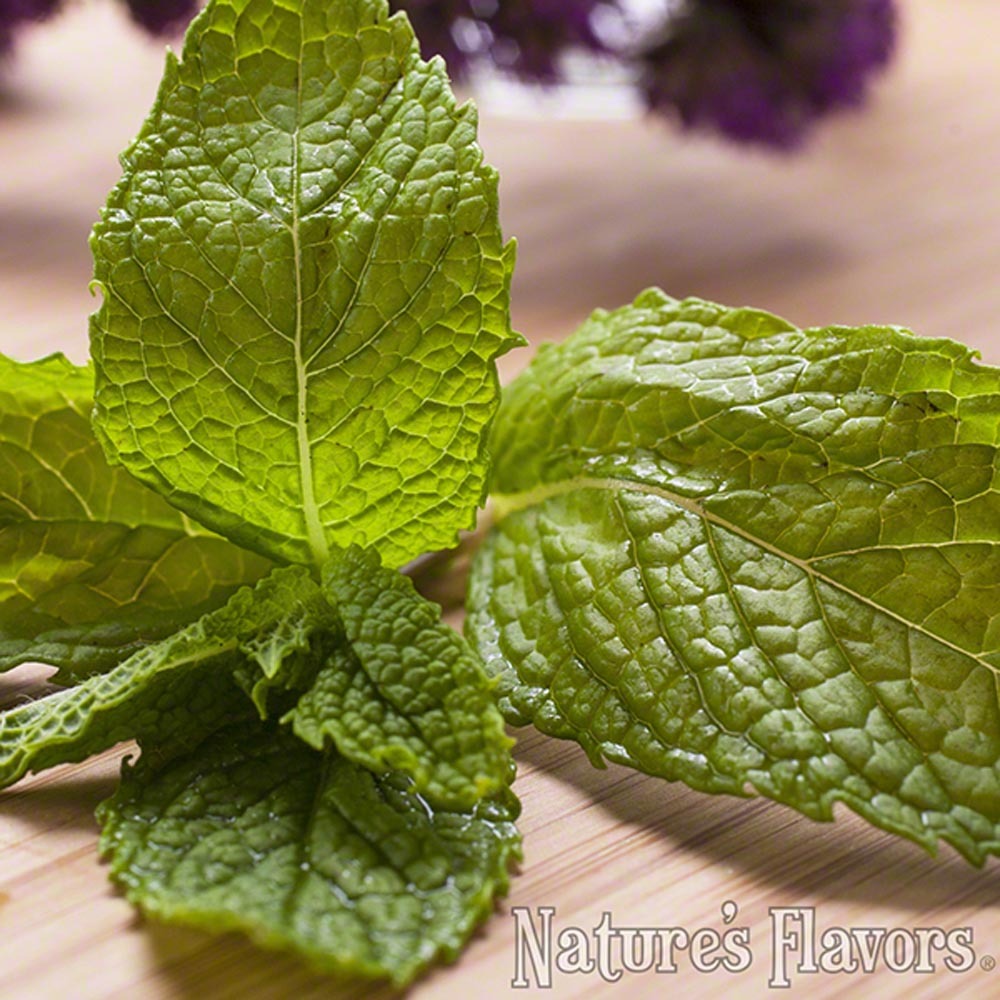 Mint Extract | Nature's Flavors