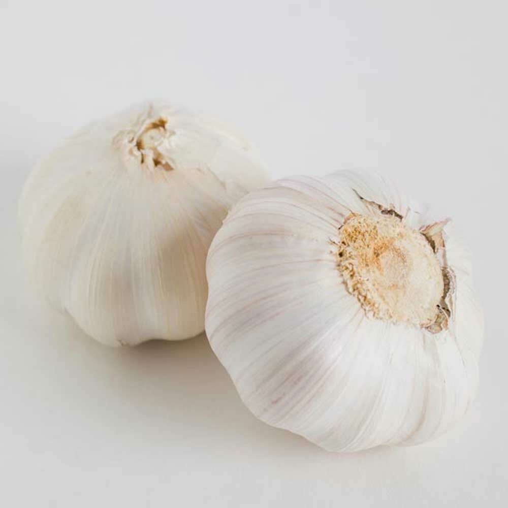 Garlic Cotton Candy (Organic) Sugar | Nature's Flavors