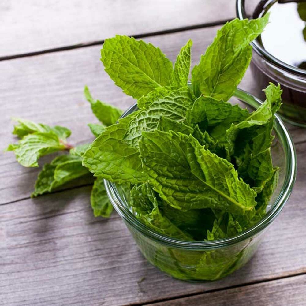 Peppermint Fragrance Emulsion (Water Soluble) | Nature's Flavors