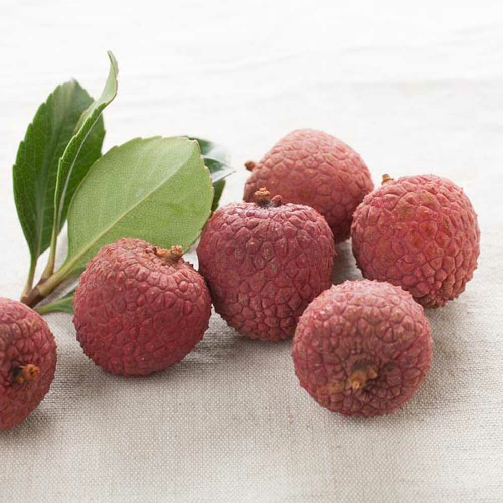 Organic Lychee Love Fragrance Emulsion (Water Soluble) | Nature's Flavors