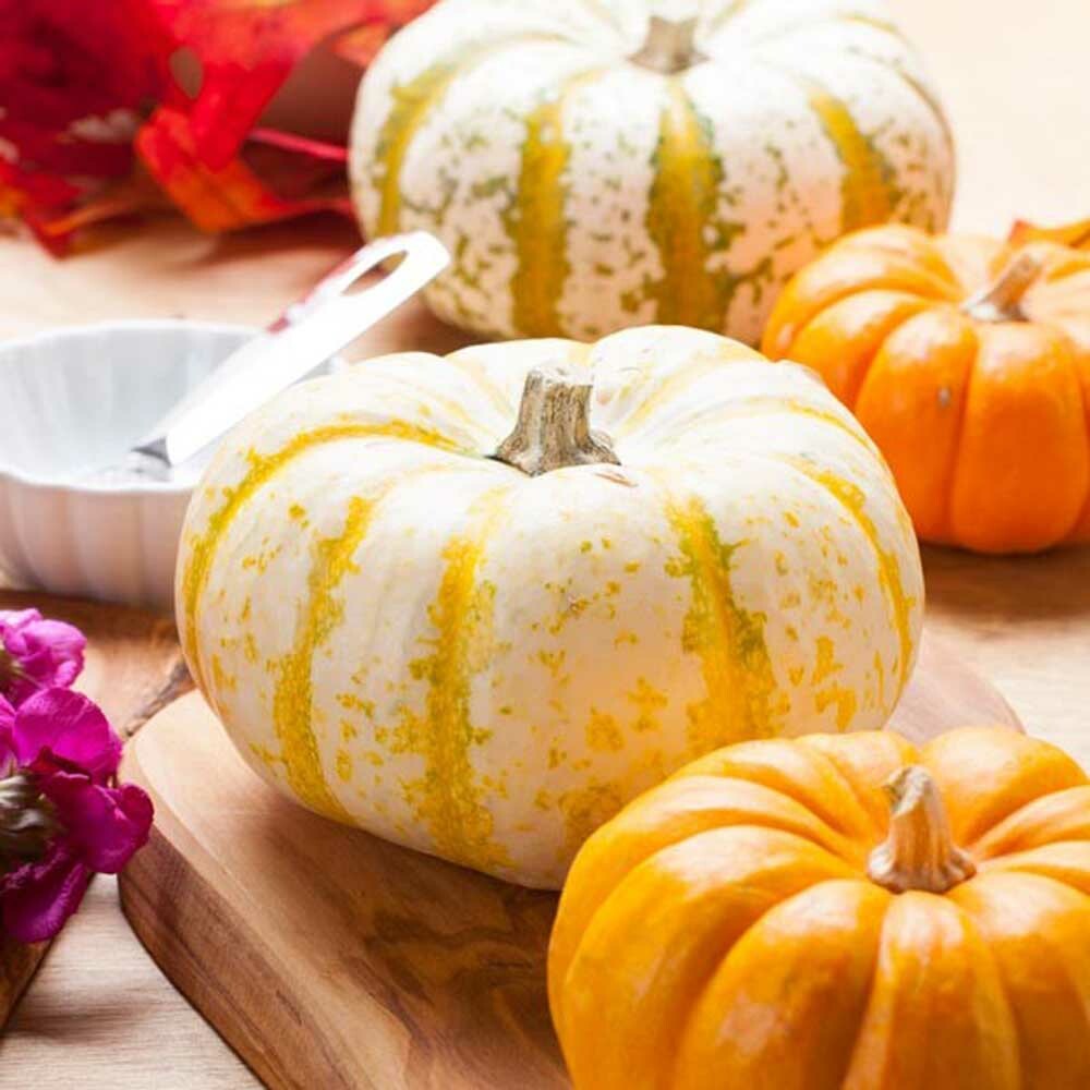 Drum Dried Pumpkin Flakes | Nature's Flavors