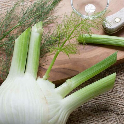 Sweet Corn Flavor Extract | Nature's Flavors