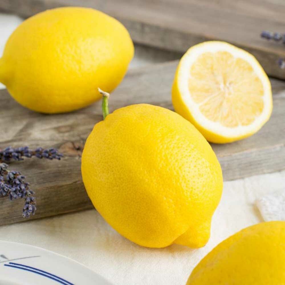 Pure Lemon Oil | Nature's Flavors