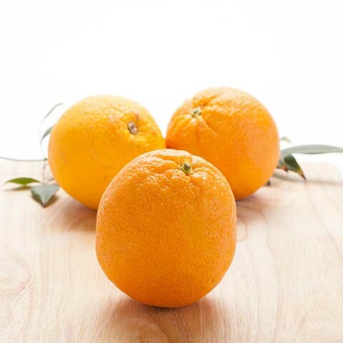 Quillaja Extract: Natural & Organic | Nature's Flavors