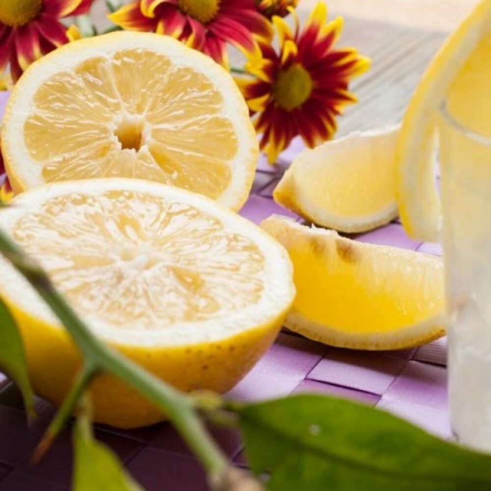 Organic Lemon Emulsion | Nature's Flavors